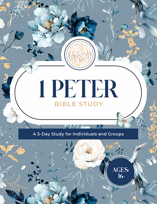 Adult Bible Studies — Teach Sunday School